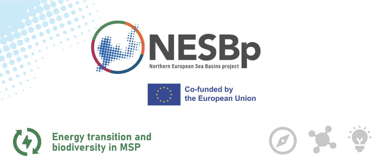 NESB Project in Action: Energy Transition and Biodiversity in MSP - VASAB